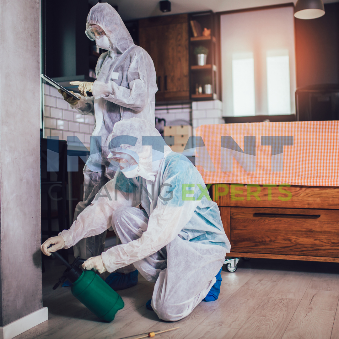 Disinfection and Sanitization - Instant Cleaning Experts